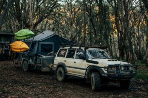 Gallery - Trackabout